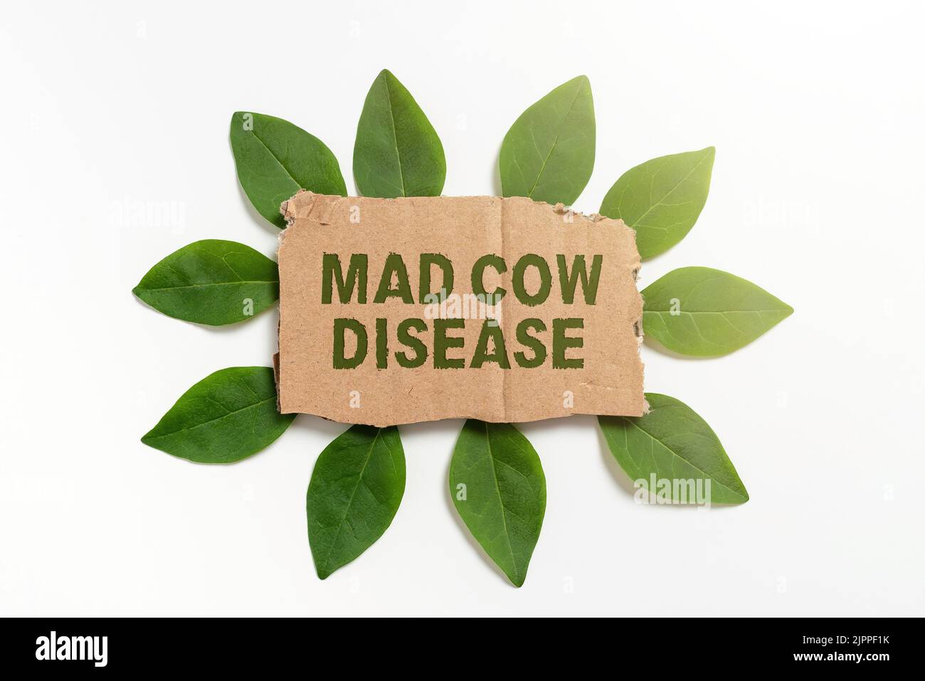 Handwriting text Mad Cow Disease, Business concept Neurodegenerative ...