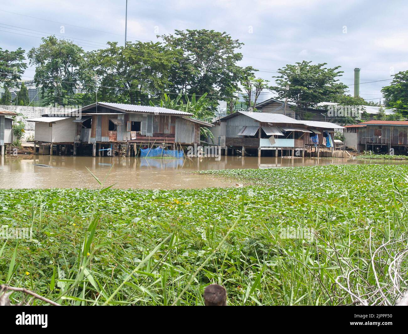 Floating houses are homes for the poor along river in Thailand Stock ...