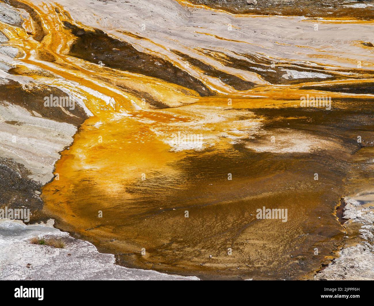 Thermal activity bright yellow lava flows and formations in Orakei Korako on volcanic plateau ...
