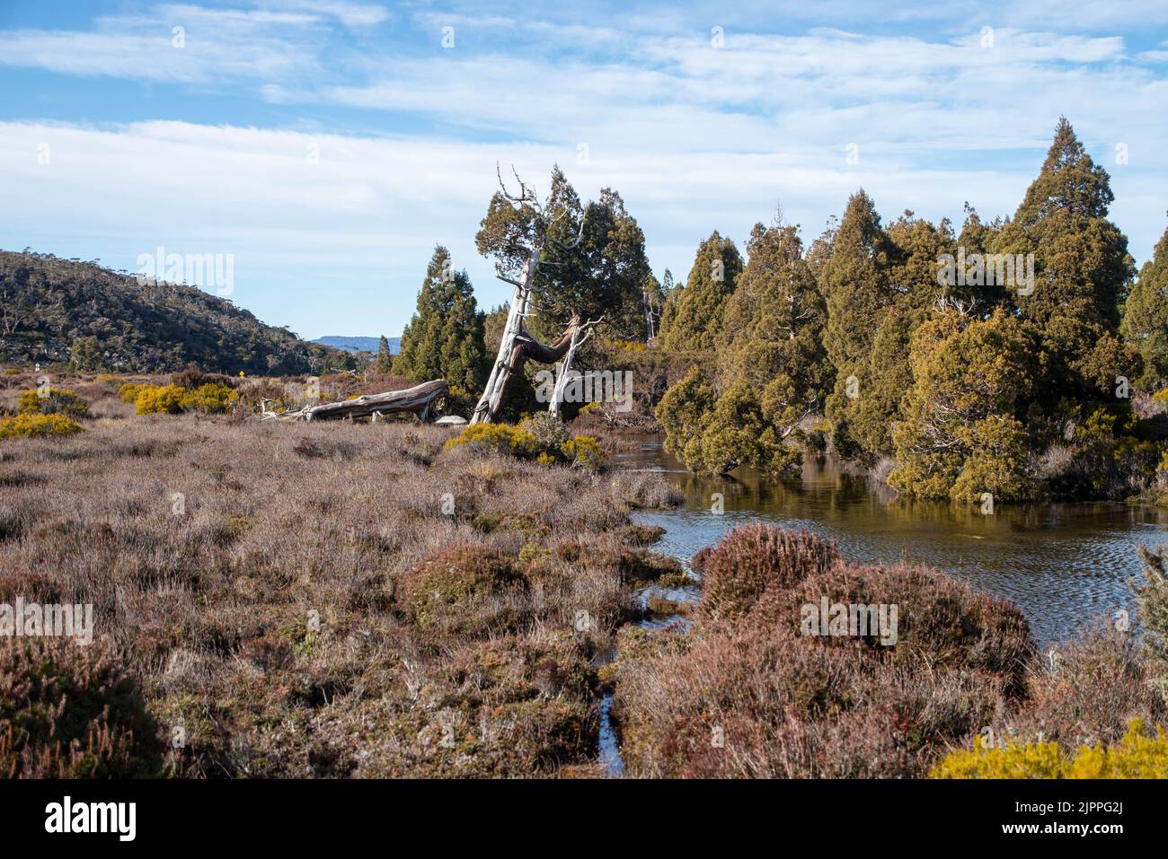 A river bank with grass surrounded by trees on a sunny day Stock Photo ...