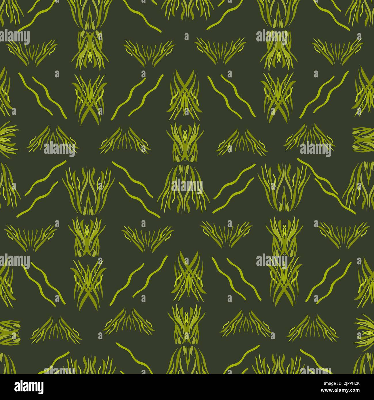 a pattern without a background of green seaweed Stock Vector Image ...