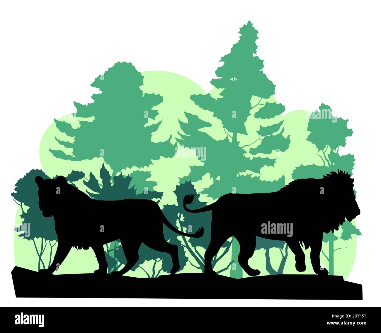 Lion and lioness. African savanna predator. Silhouette picture ...