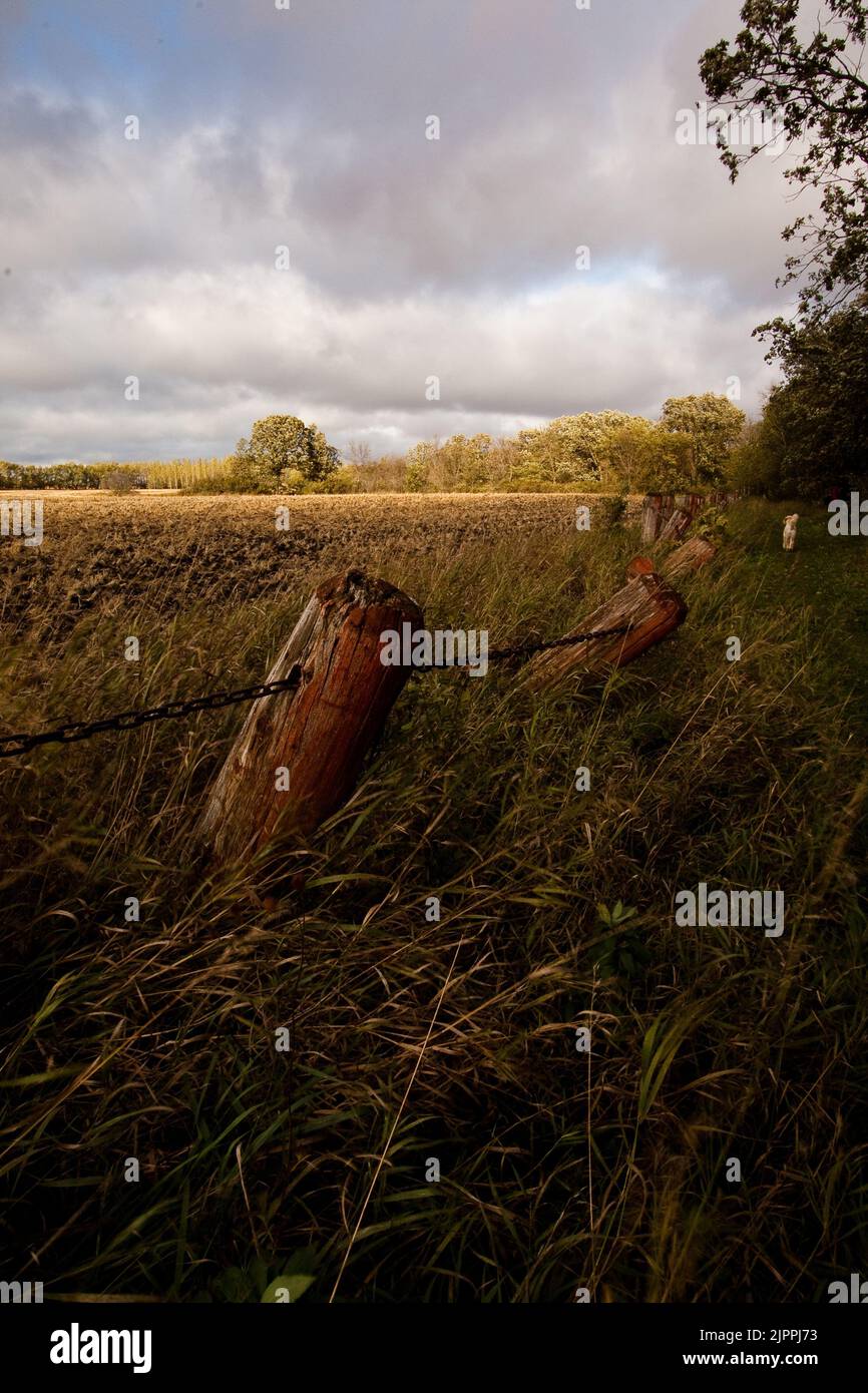 A vertical shot of fence falling over on the edge of a farmer's field ...