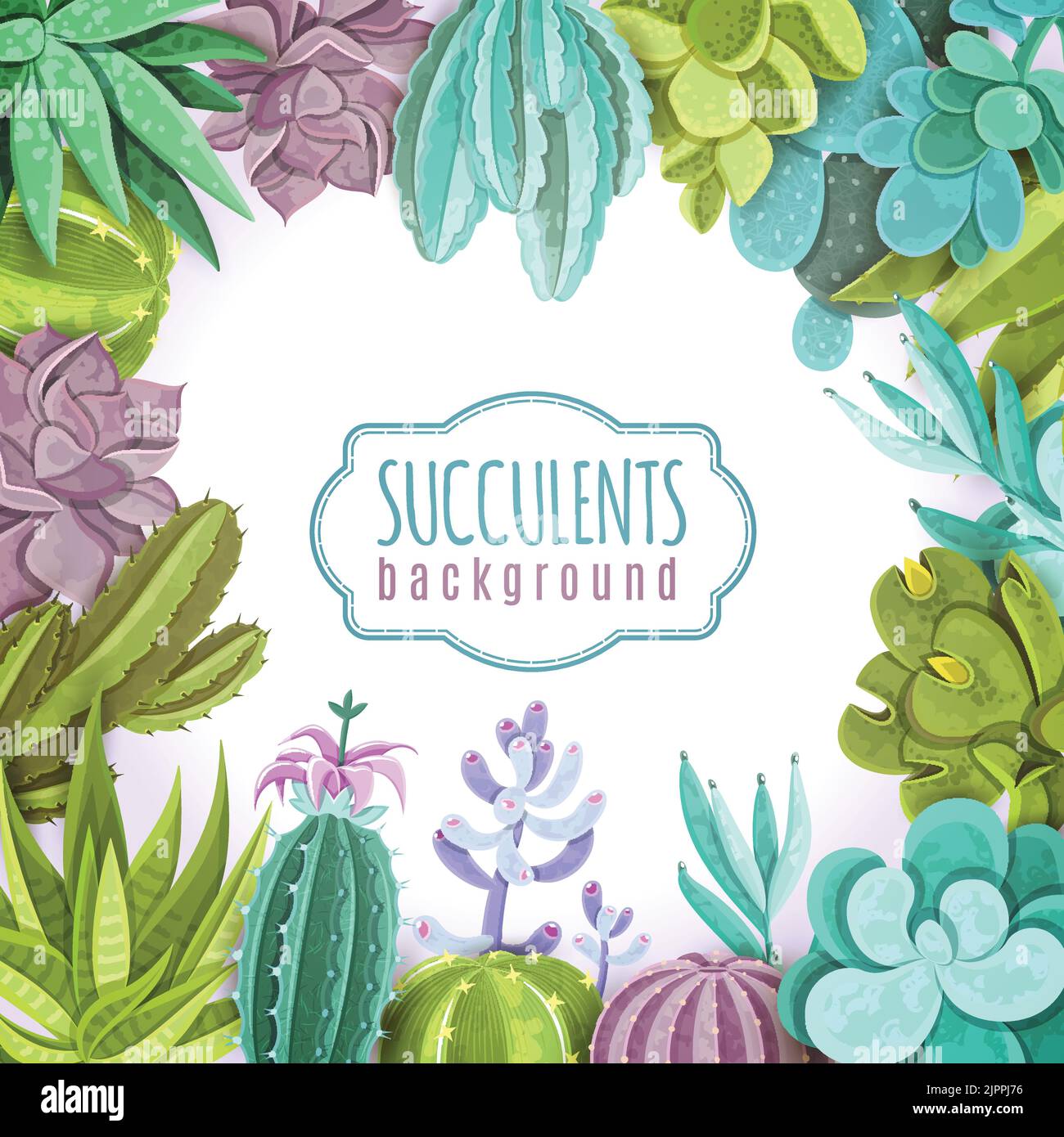 Succulents decorative background with different types of cactuses flat ...