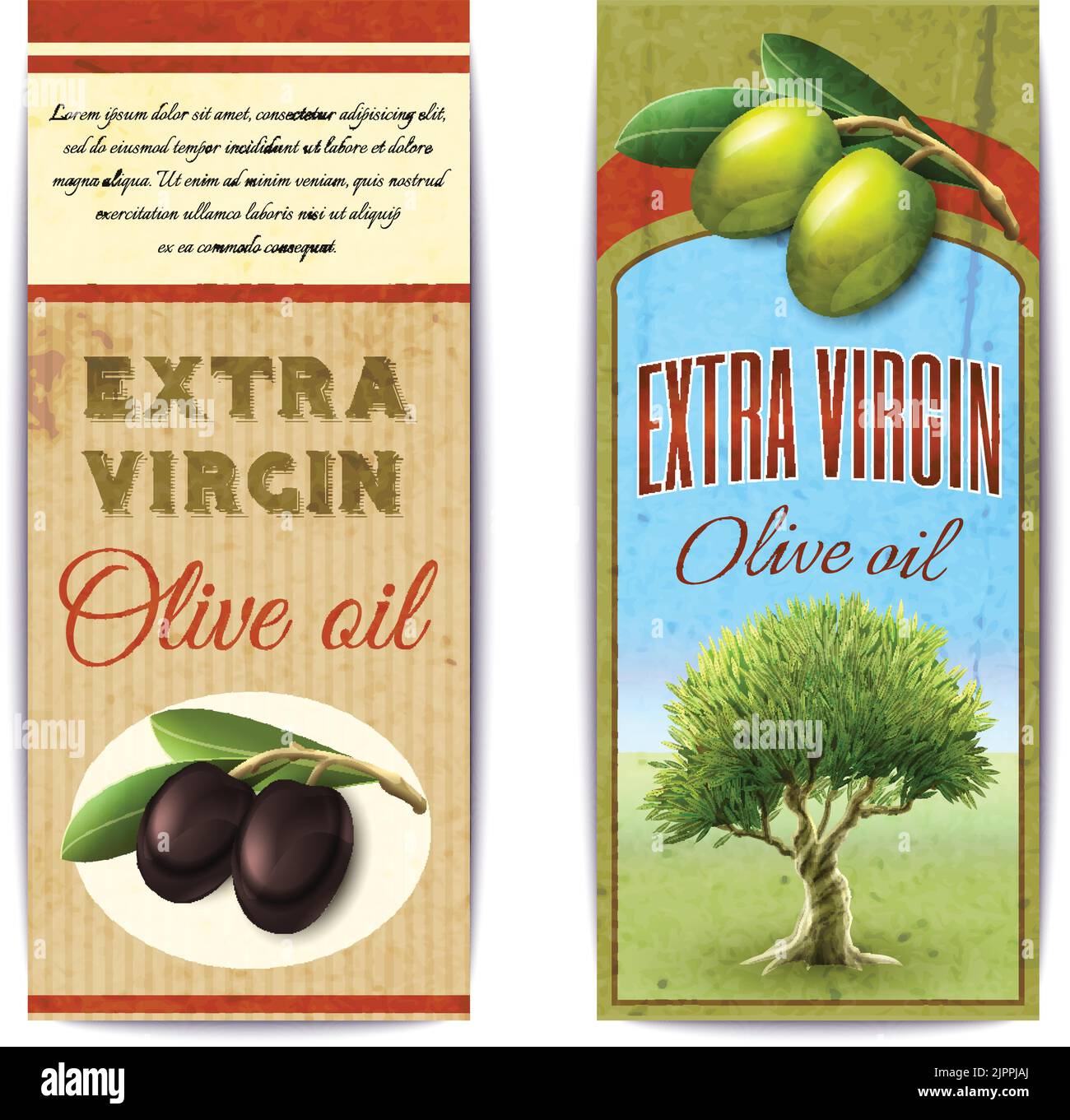 Extra virgin olive oil labels with black and green olives vertical ...