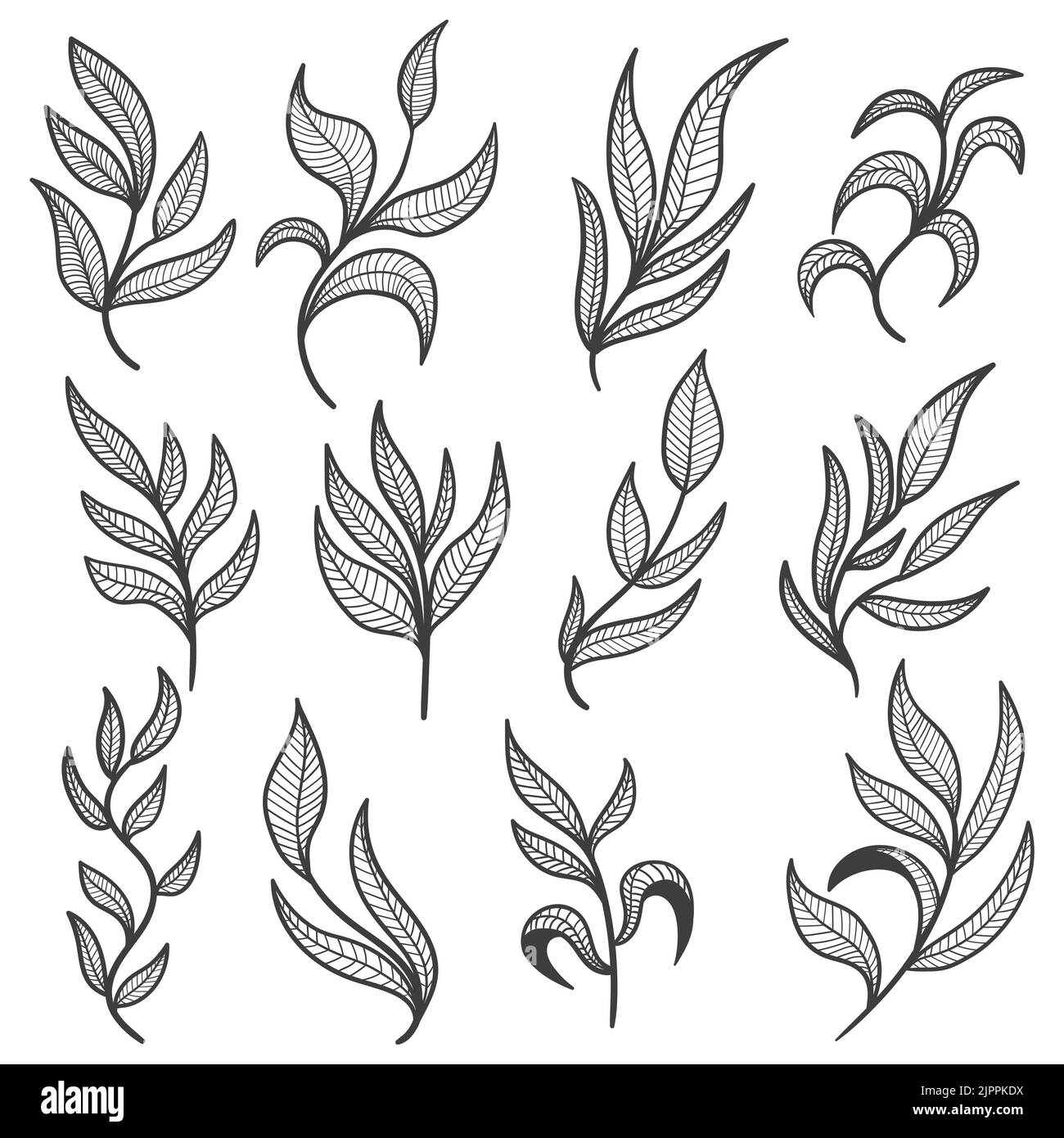 Floral leaf hand drawn elements set vector illustration Stock Vector ...