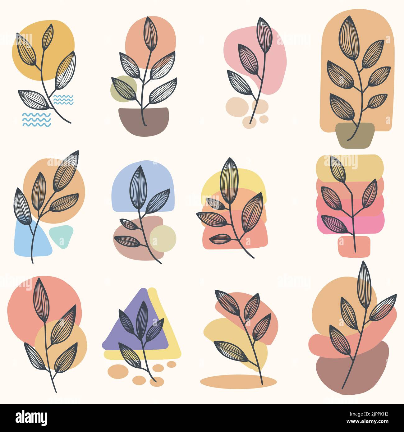 leaf line art boho aesthetic elements set vector illustration Stock ...