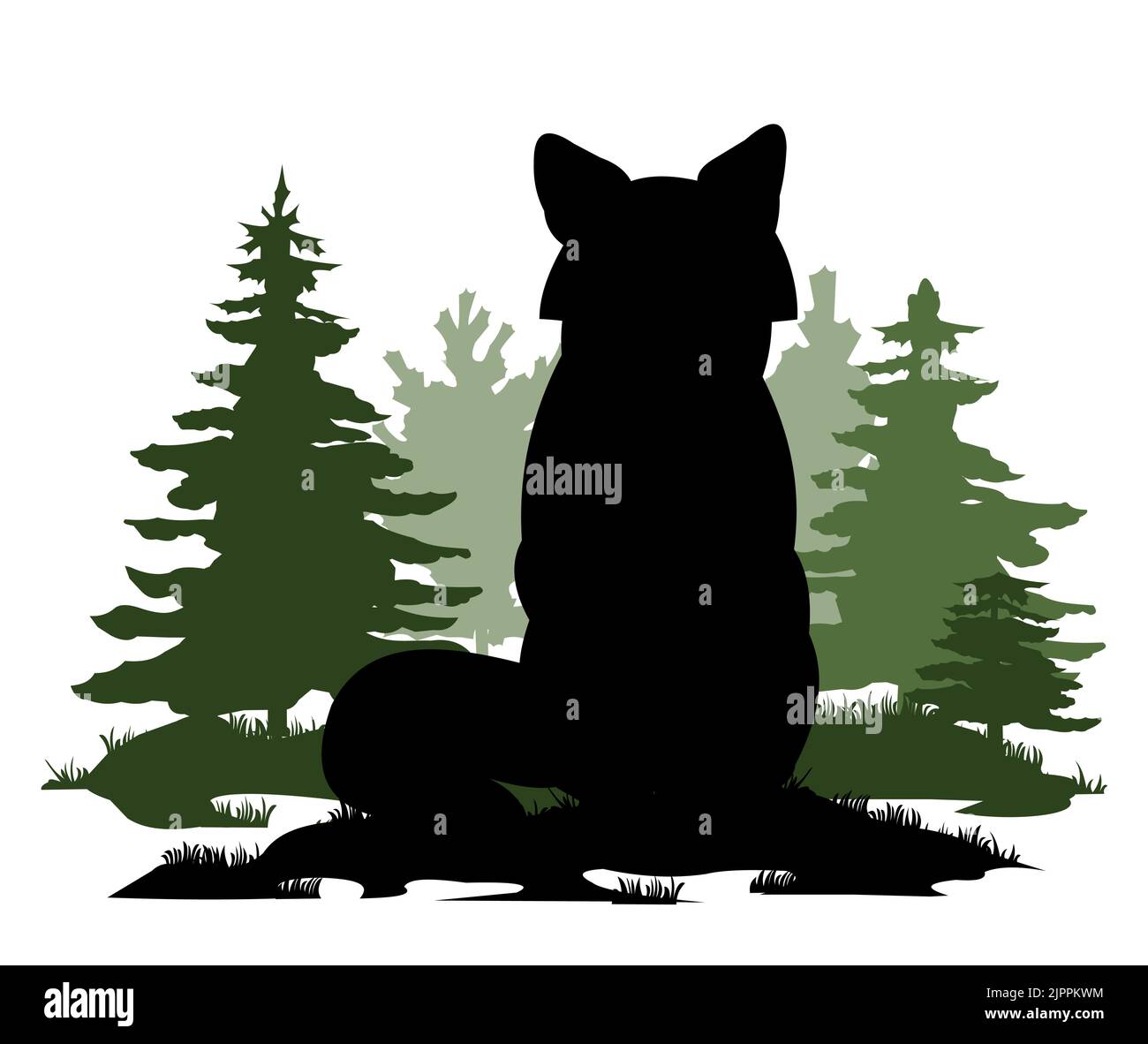 Fox sits among fir trees. Animal silhouette. Wild life picture ...