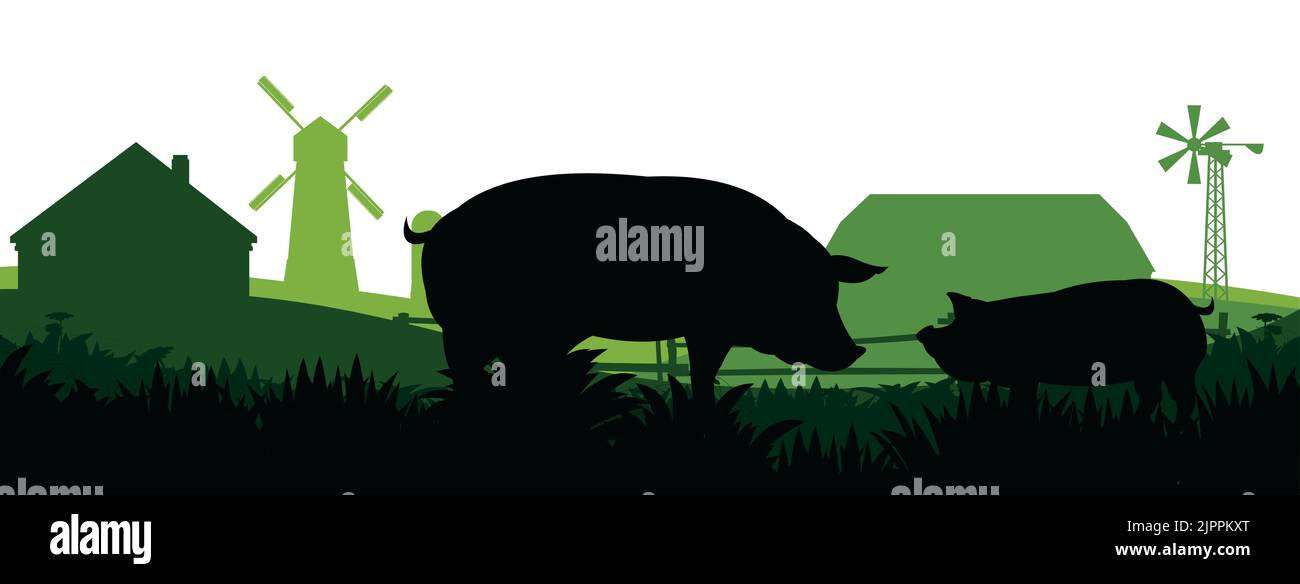 Pigs graze in pasture. Picture silhouette. Farm pets. Rural landscape ...