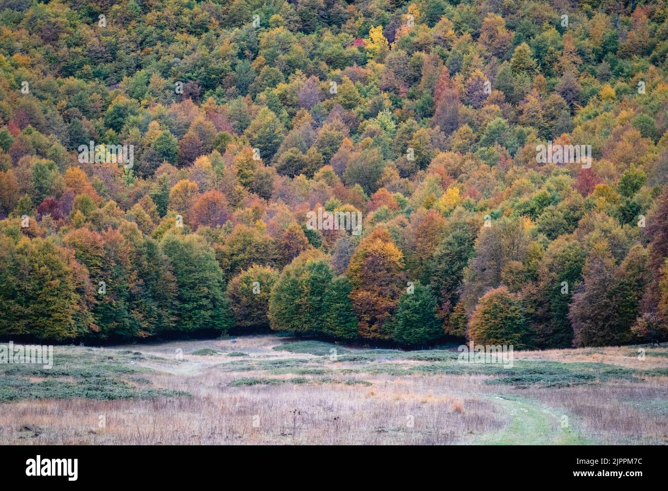 A beautiful Landscape Stock Photo - Alamy