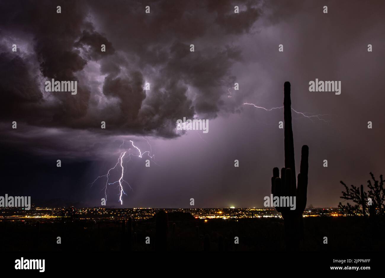 Lightning storm at night with city lights and Saguaro cacti Stock Photo ...