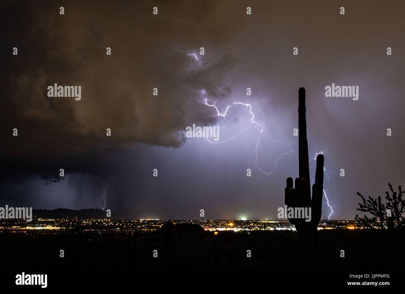 Lightning storm at night with city lights and Saguaro cacti Stock Photo ...