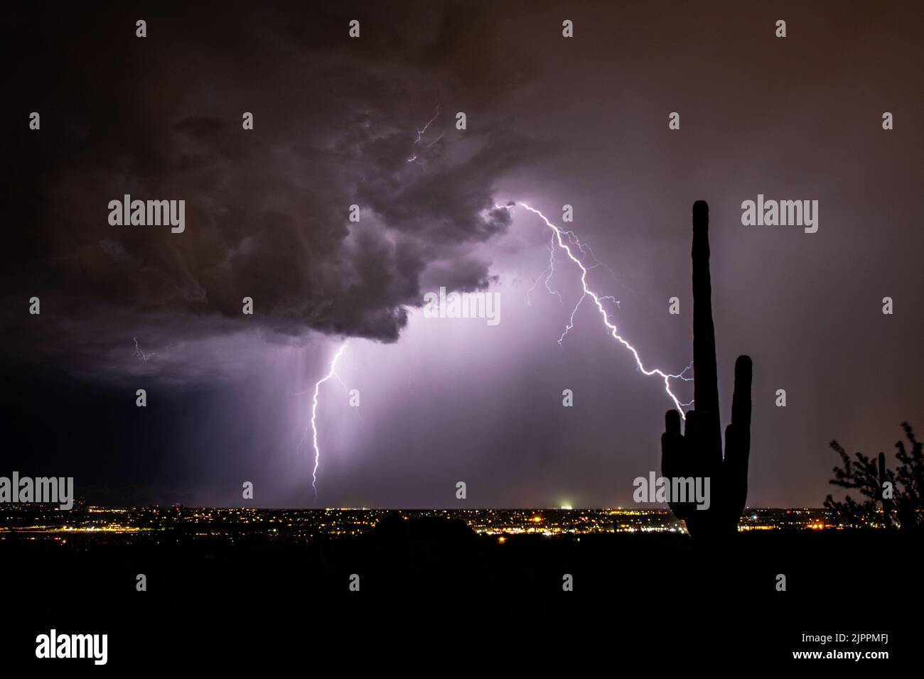 Lightning storm at night with city lights and Saguaro cacti Stock Photo ...