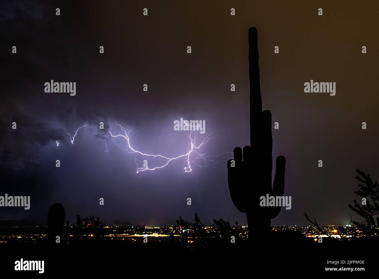 Lightning storm at night with city lights and Saguaro cacti Stock Photo ...