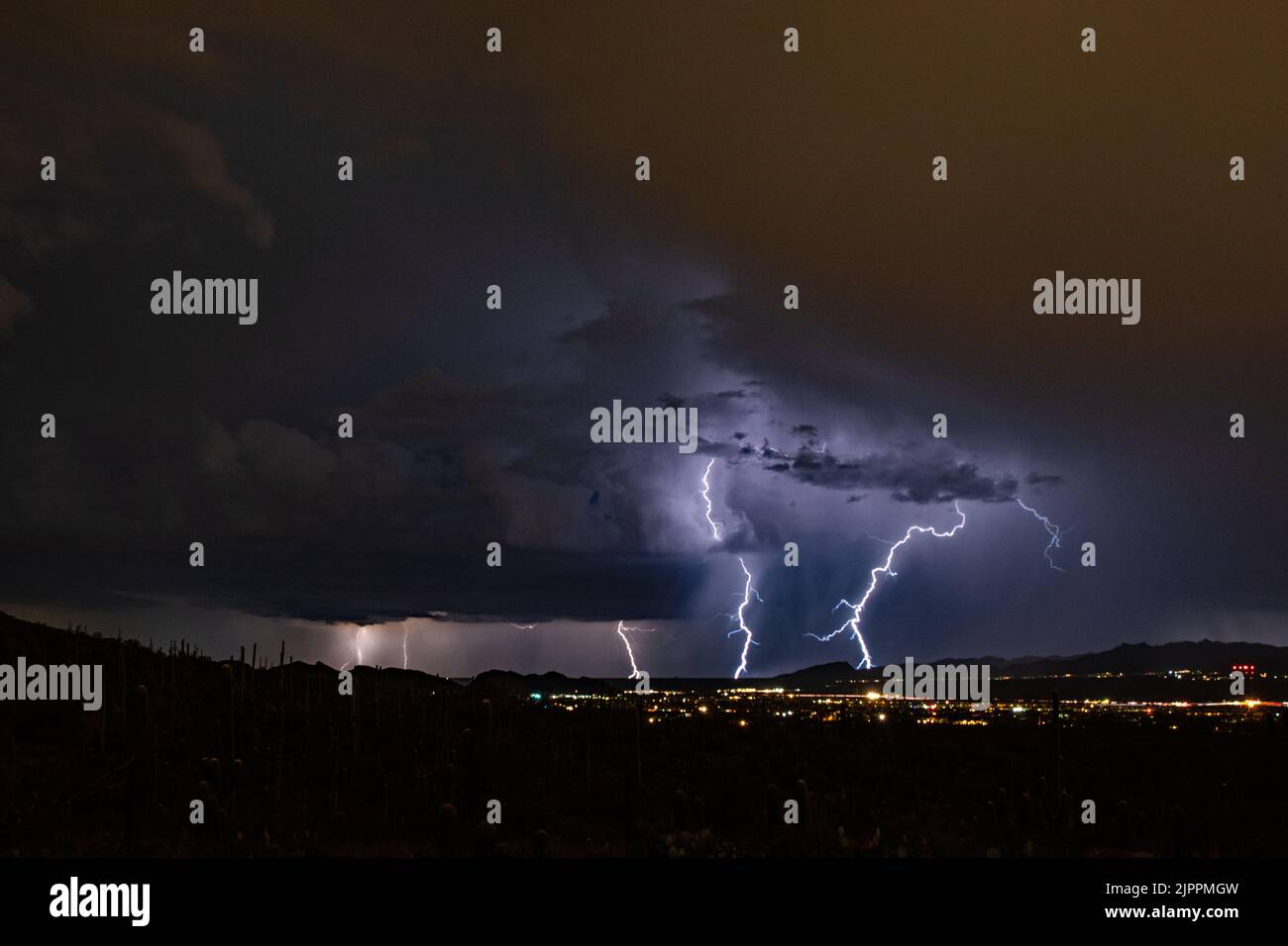 Lightning silhouette saguaro cactus hi-res stock photography and images ...