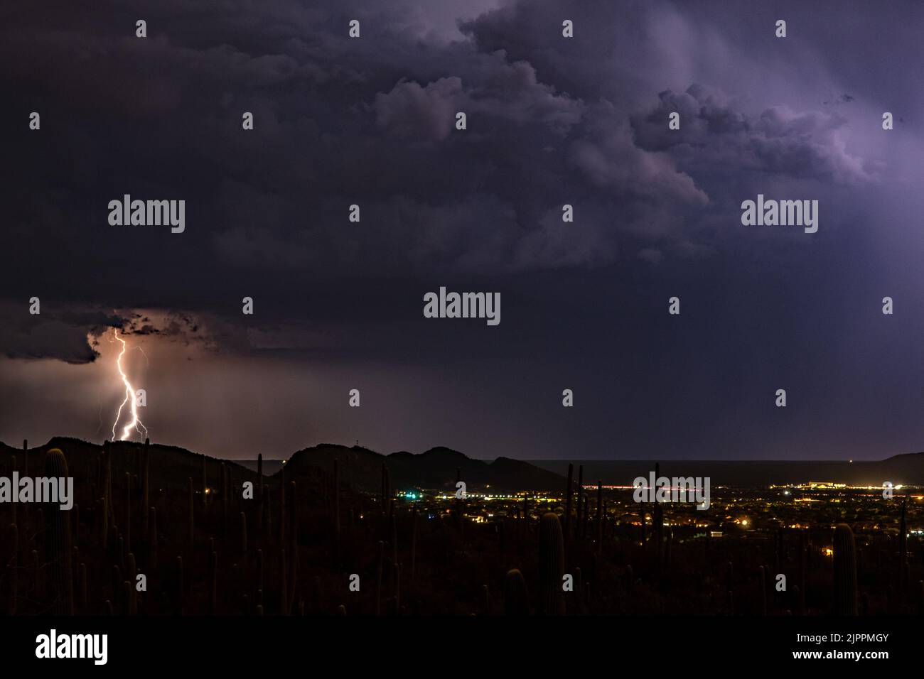 Lightning storm at night with city lights and Saguaro cacti Stock Photo ...