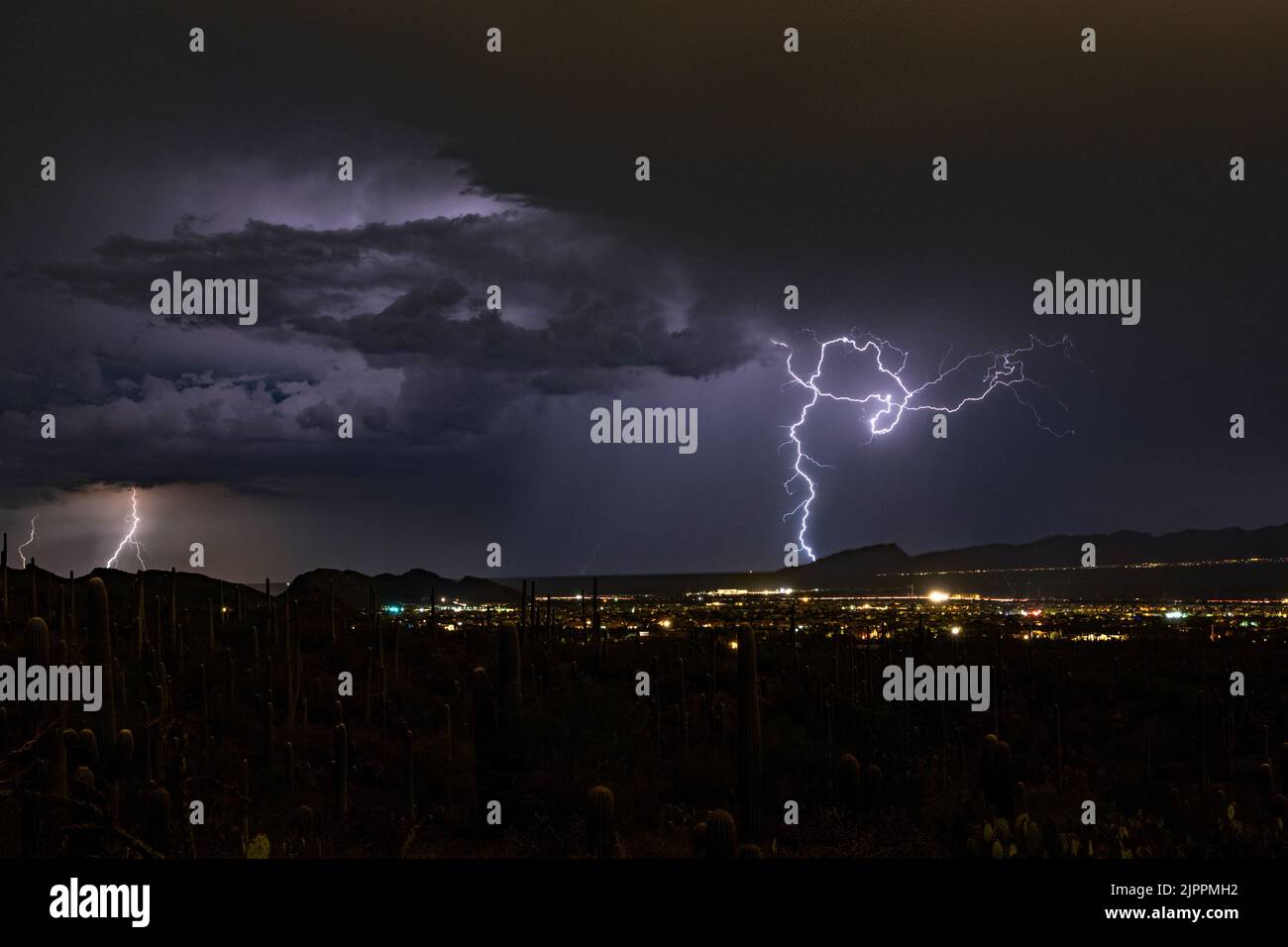 Lightning storm at night with city lights and Saguaro cacti Stock Photo ...