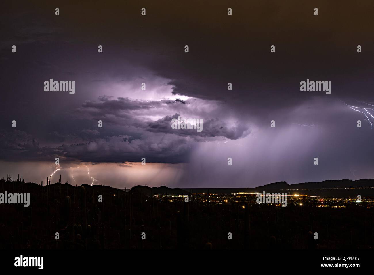 Lightning storm at night with city lights and Saguaro cacti Stock Photo ...