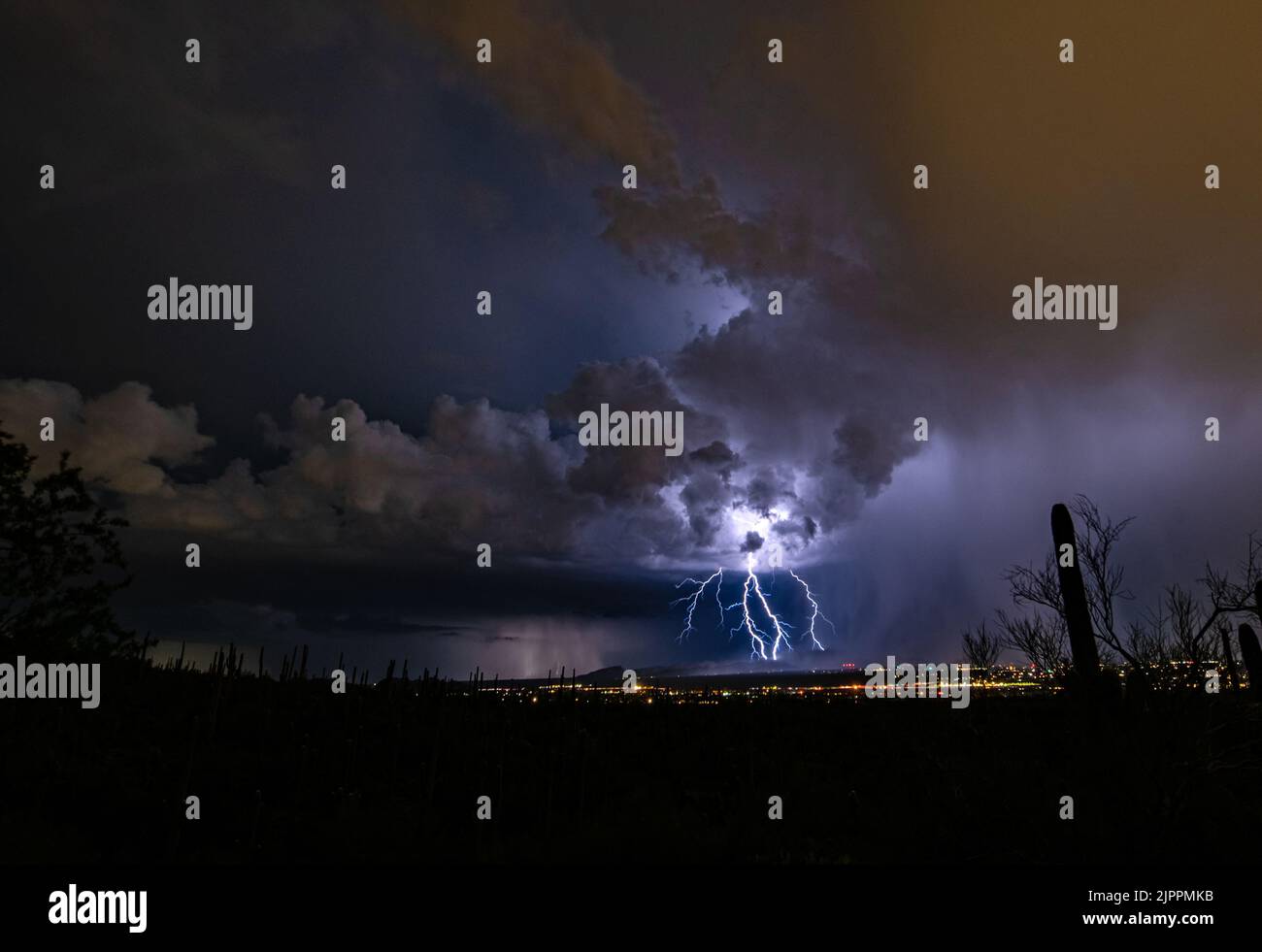 Lightning storm at night with city lights and Saguaro cacti Stock Photo ...