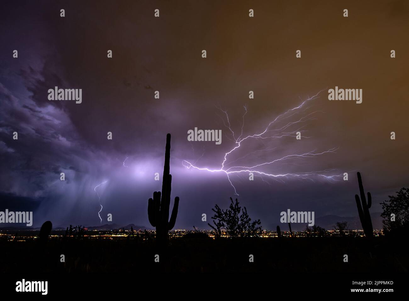 Lightning storm at night with city lights and Saguaro cacti Stock Photo ...