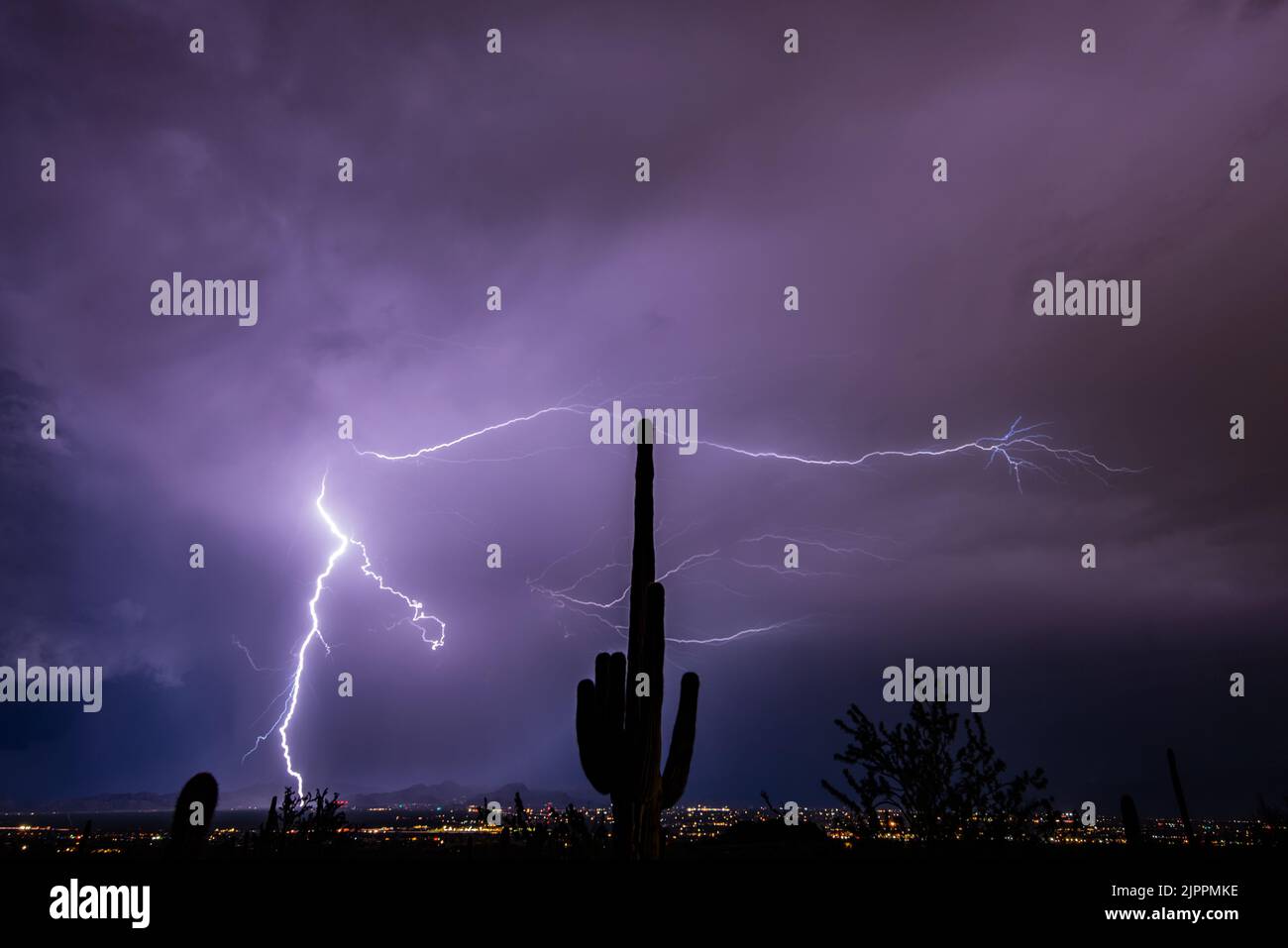 Lightning storm at night with city lights and Saguaro cacti Stock Photo ...
