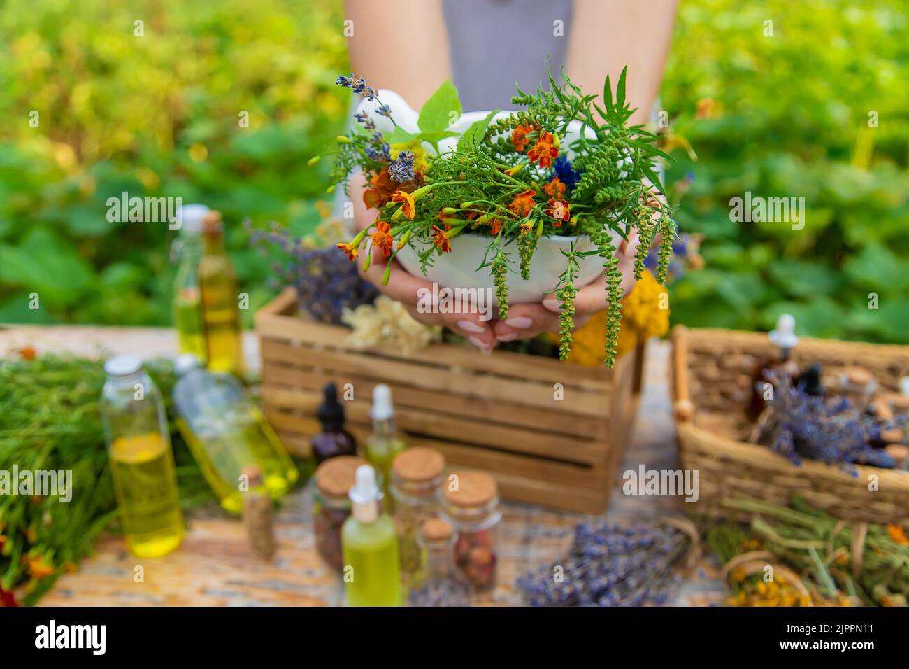 Medicinal herbs and natural tinctures. Selective focus. Nature Stock ...