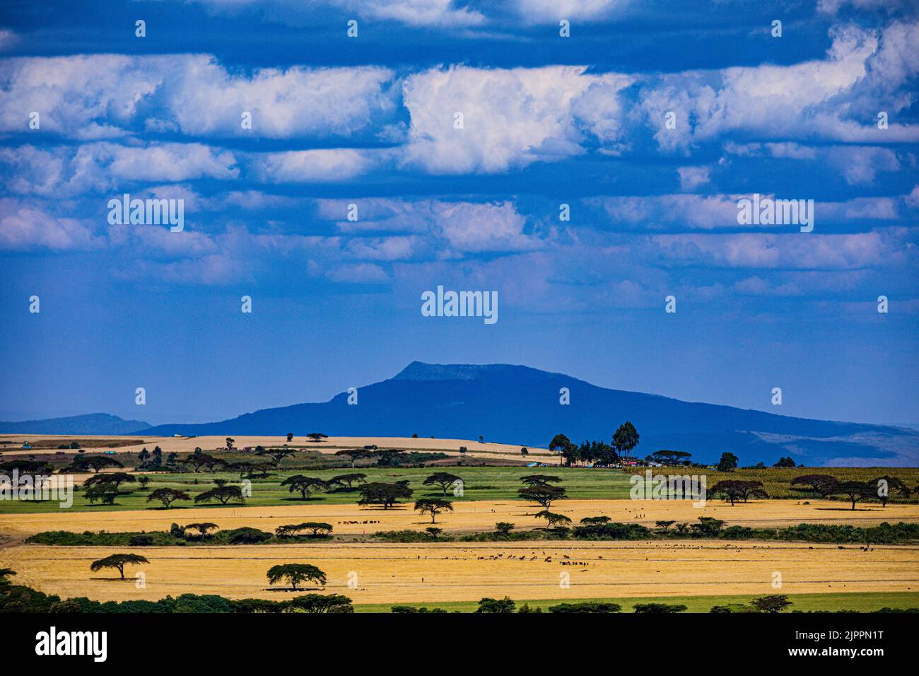 Ntulele Highway Road Narok County Kenya East Africa Great Rift Valley ...