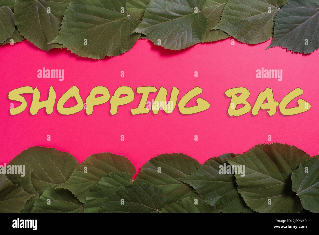 Text caption presenting Shopping Bag, Concept meaning Containers for ...