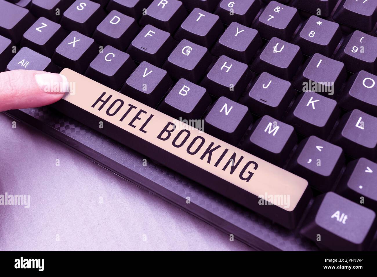Writing displaying text Hotel Booking, Business showcase Online ...
