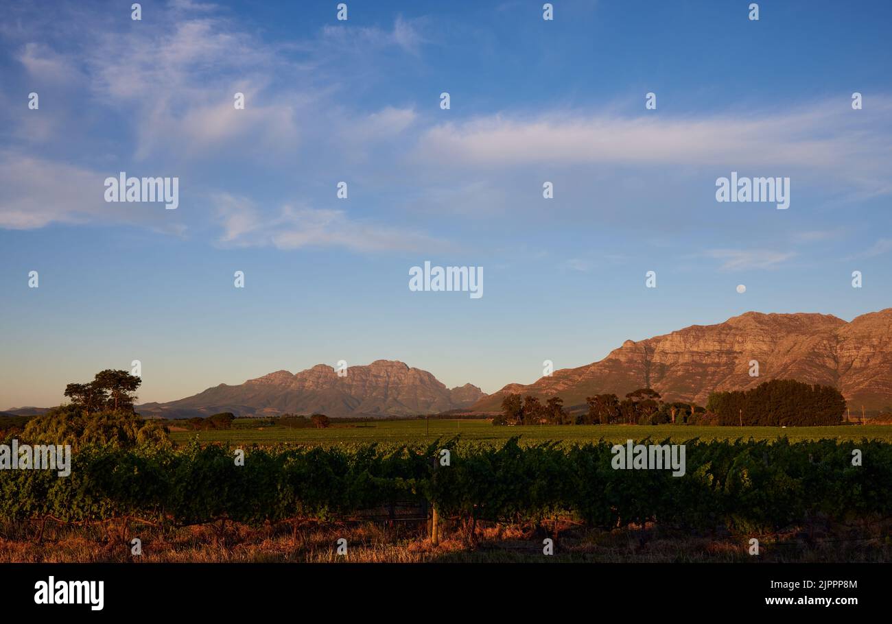 The Eikendal wine estate with mountains in the background in South ...
