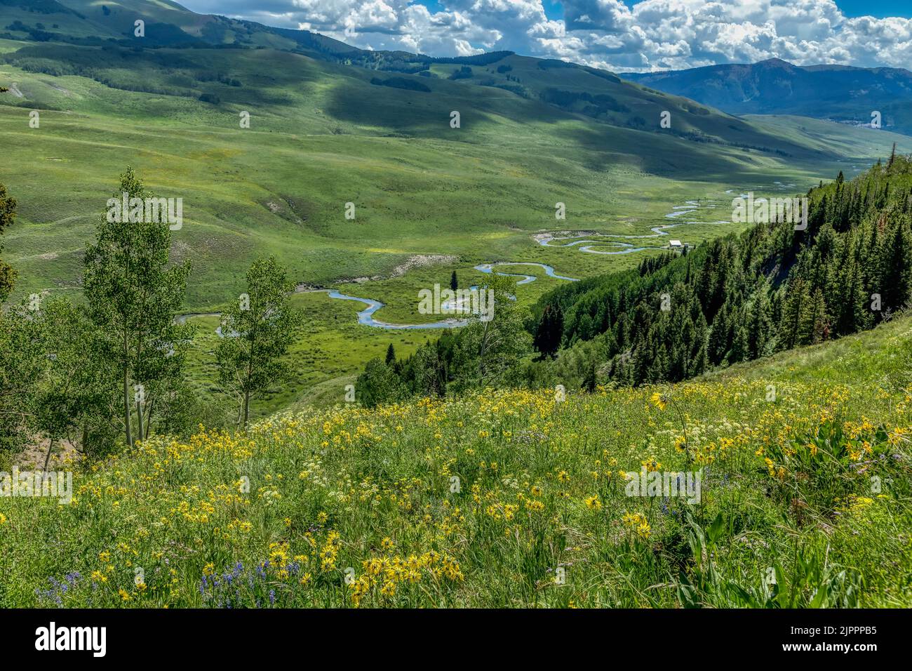 Summer scenery in the southwestern corner of Colorado Stock Photo - Alamy