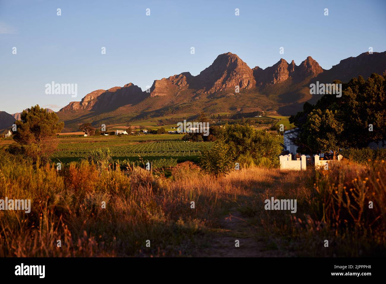 The Eikendal wine estate with mountains in the background in South ...