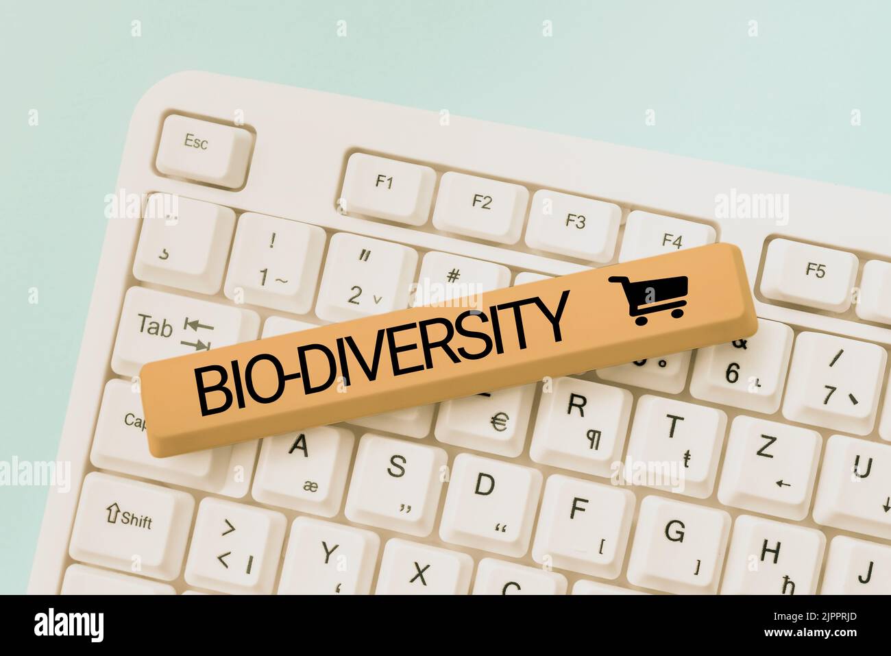 Text caption presenting Bio Diversity, Word for Variety of Life ...