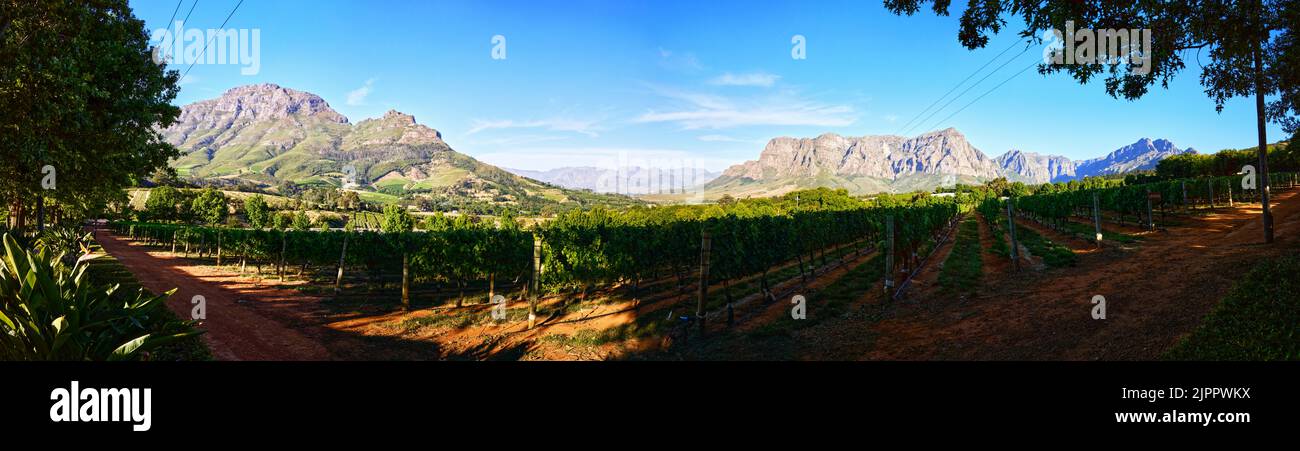 A panoramic view of the Delaire Graff Wine Estate winery in ...