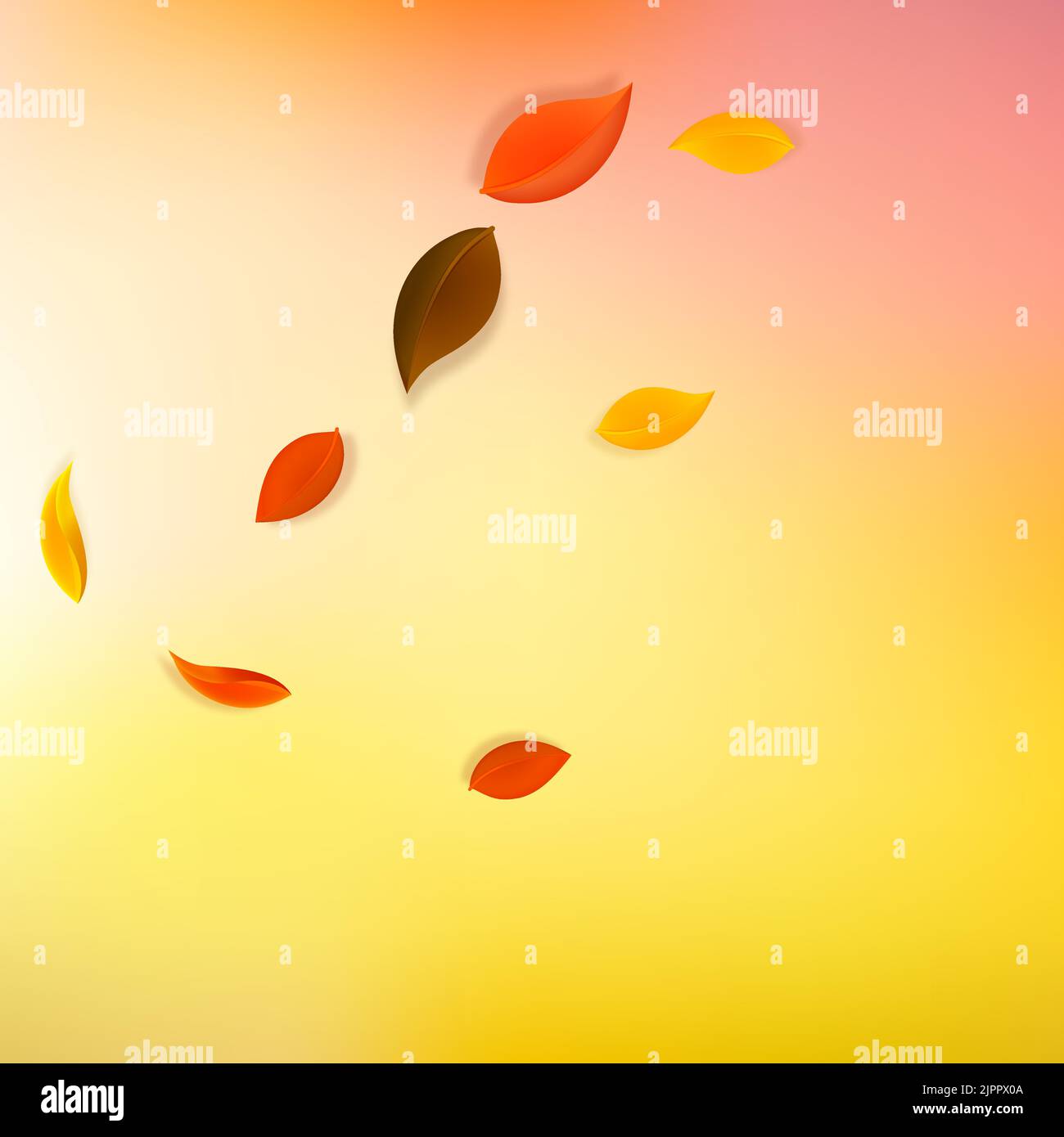 Falling autumn leaves. Red, yellow, green, brown neat leaves flying ...