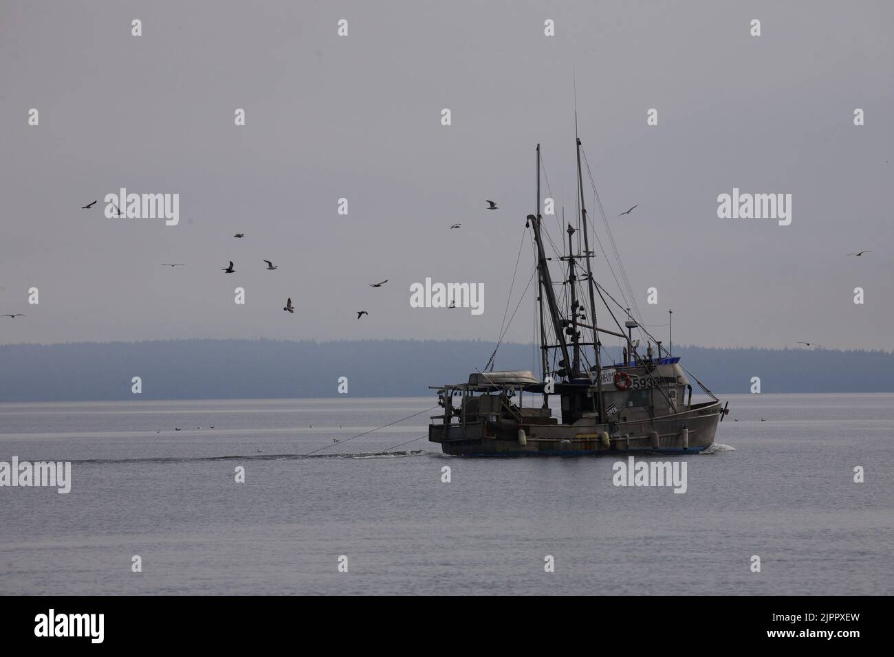 Fischkutter / Fish-cutter Stock Photo - Alamy