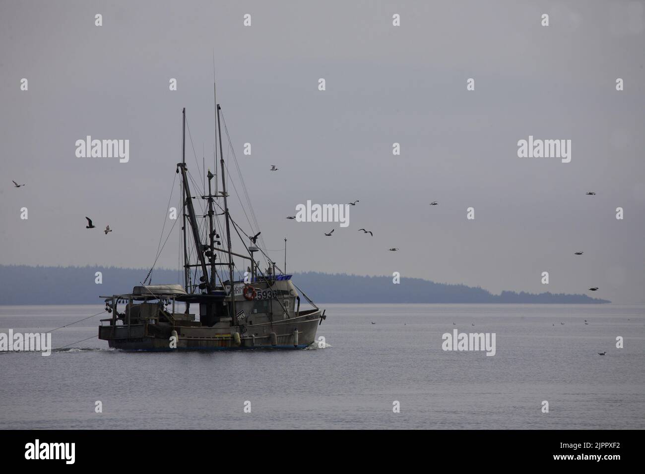 Fischkutter / Fish-cutter Stock Photo - Alamy