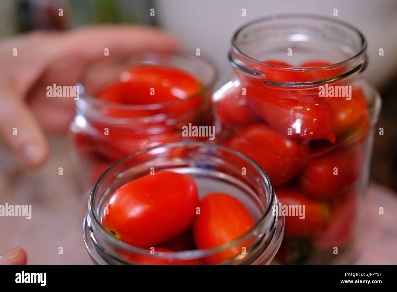 Homemade pickled tomatoes in glass jars Fermented tomatoes in ...