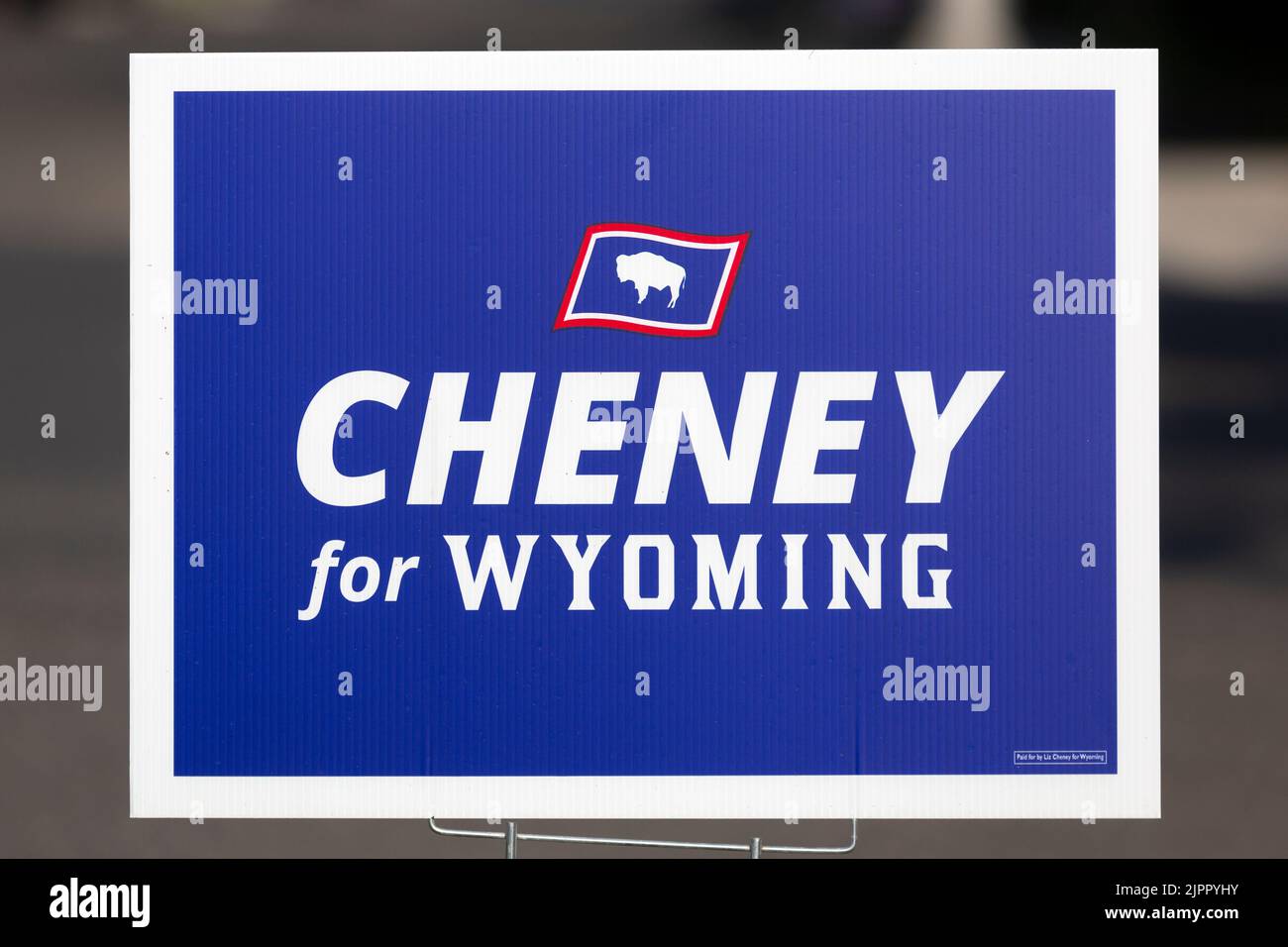 2022 Wyoming congressional campaign yard sign for the reelection of Liz ...