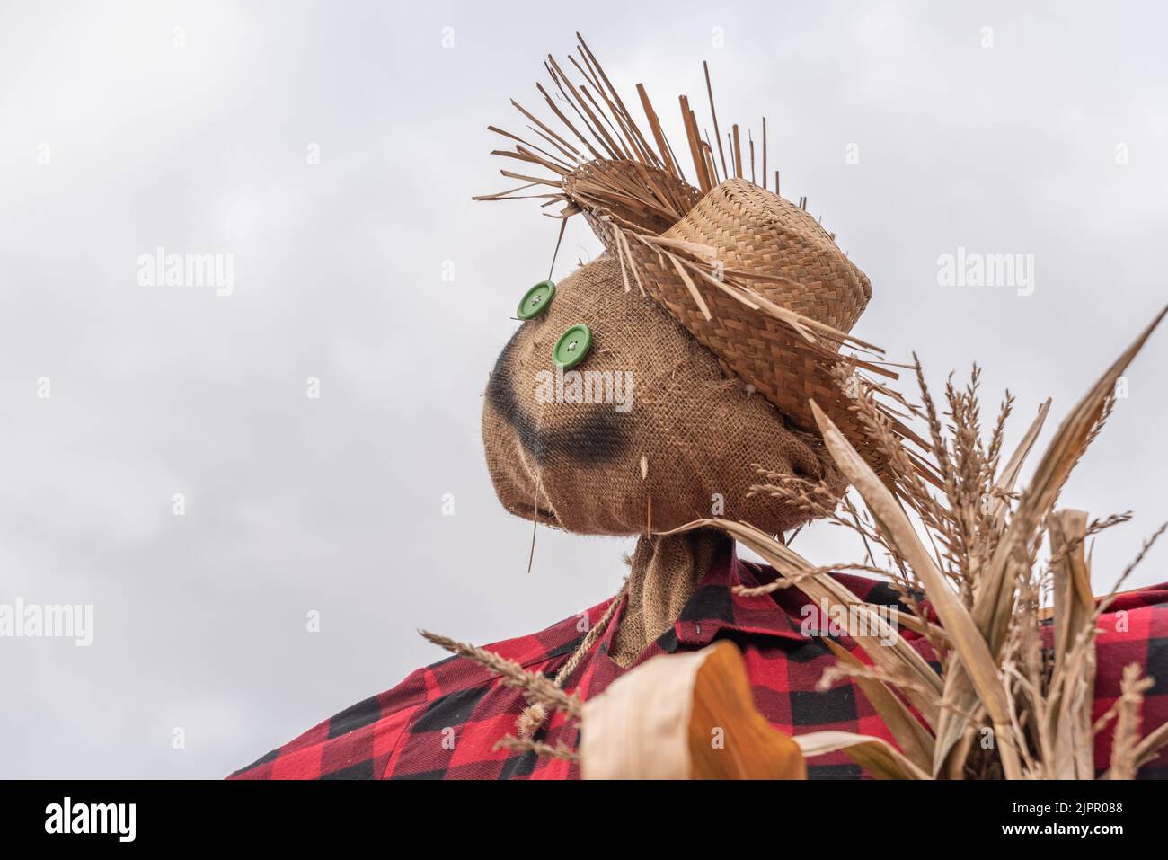 Halloween scarecrow. Scary figure. Traditional Halloween scarecrow ...