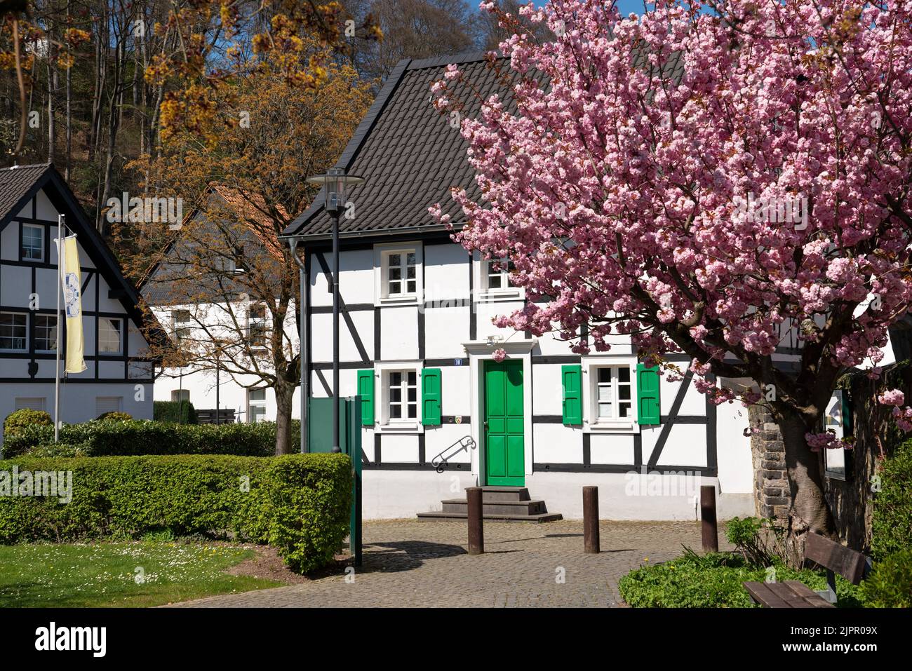 A center of village Odenthal with old buildings and blossoming trees at ...