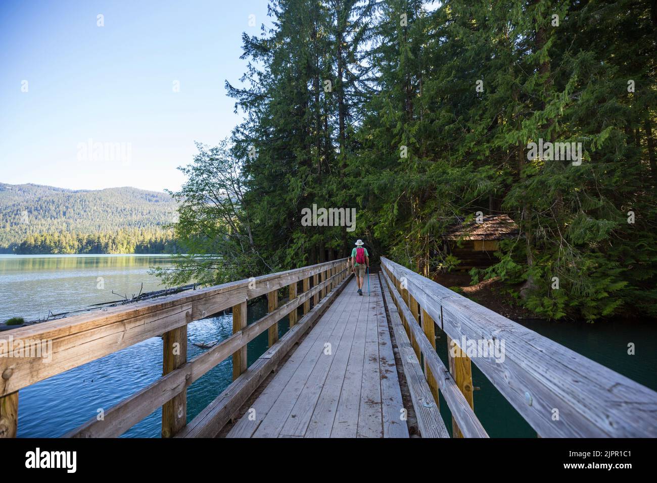 Boardwalk on the lake in the forest, Packwood lake, Washington, USA ...