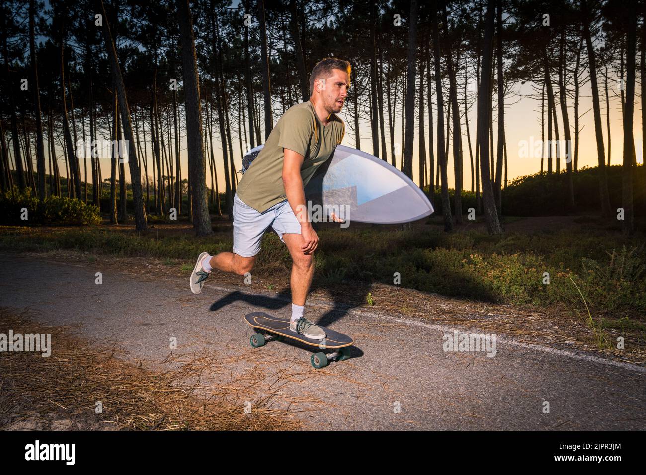 Surf skater rolling by the pine forest at sunset with his surfboard in ...