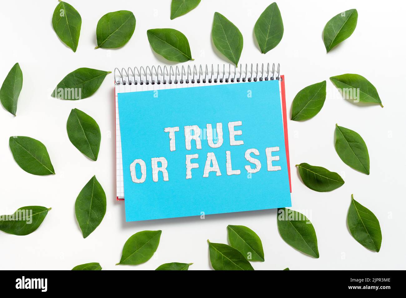 Writing displaying text True Or False, Concept meaning Decide between a ... Writing displaying text True Or False, Concept meaning Decide between a ...