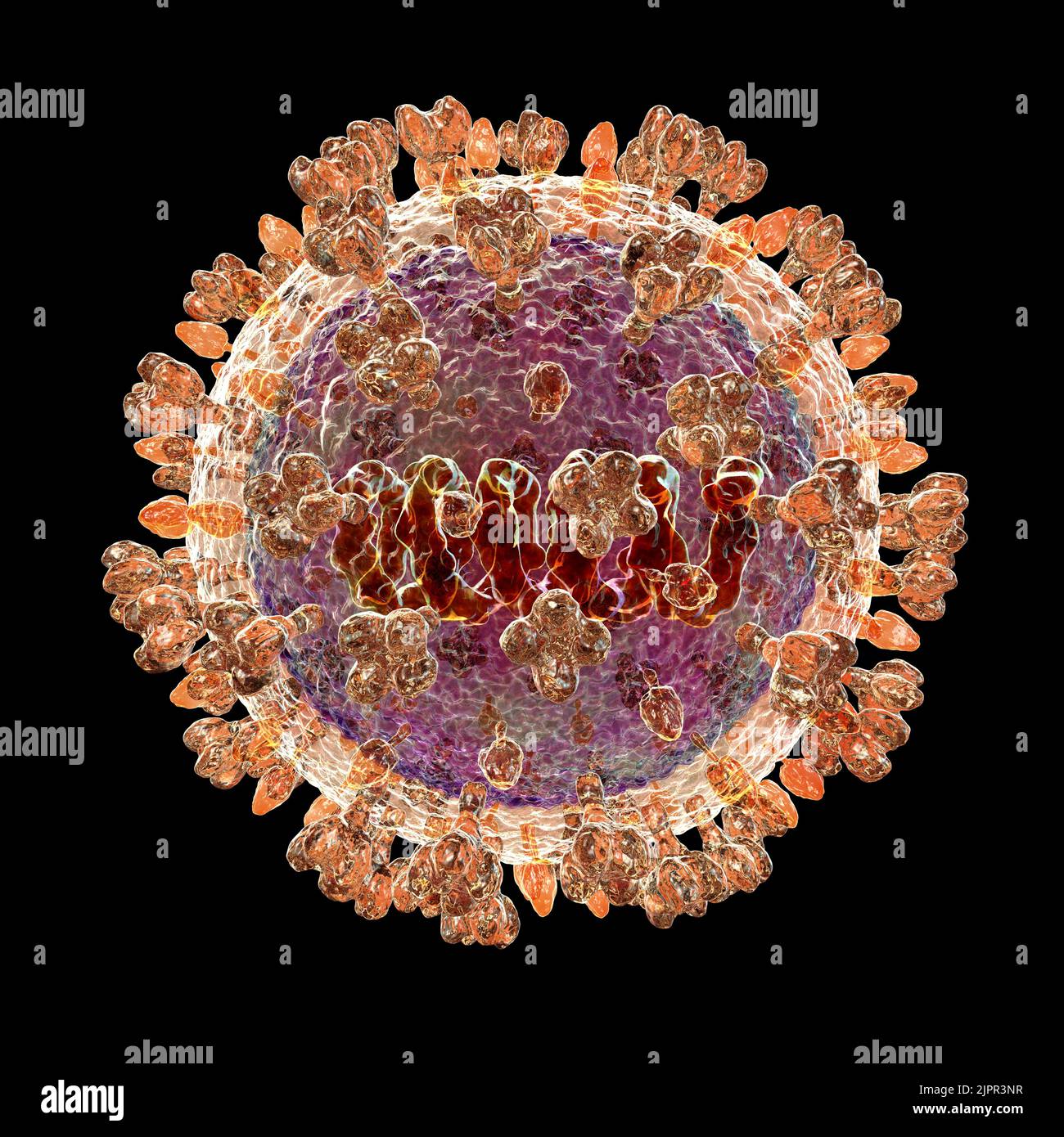Virus langya hi-res stock photography and images - Alamy
