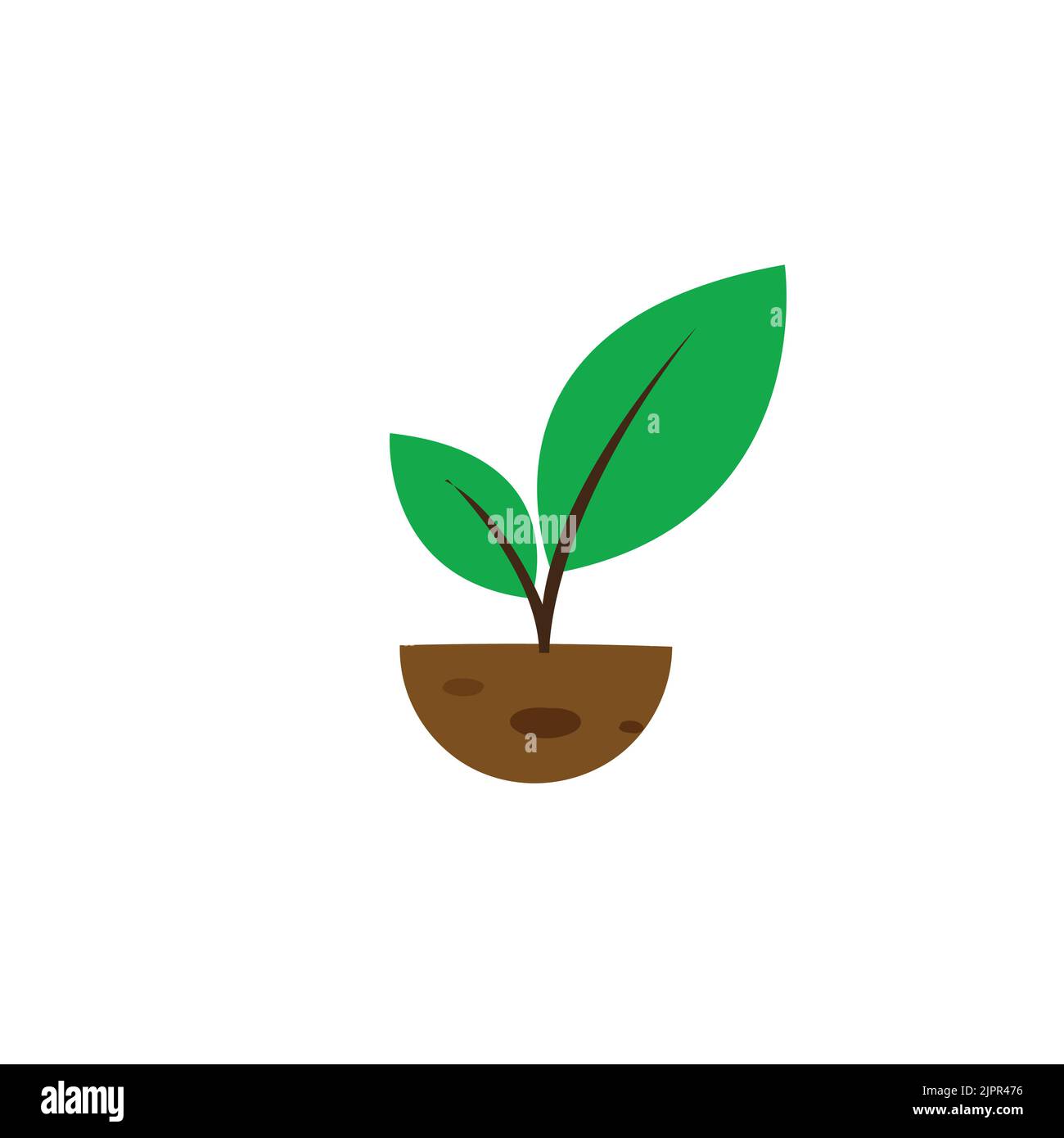 Collection monstera leaf logo Stock Vector Images - Alamy