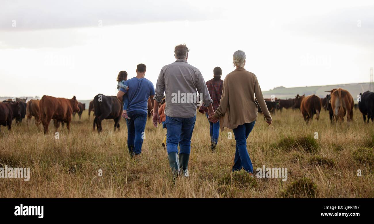 Kids and cows hi-res stock photography and images - Alamy
