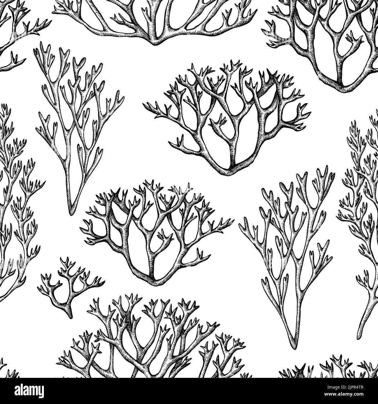 Mysterious forest seamless pattern background design. Engraved style ...