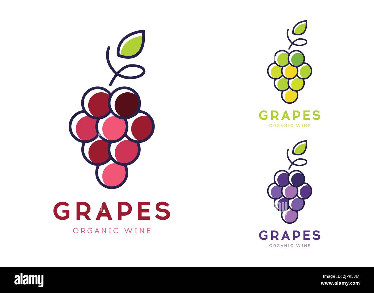 Wine logo vector flat line icon. Grapes vector logo icon isolated on ...