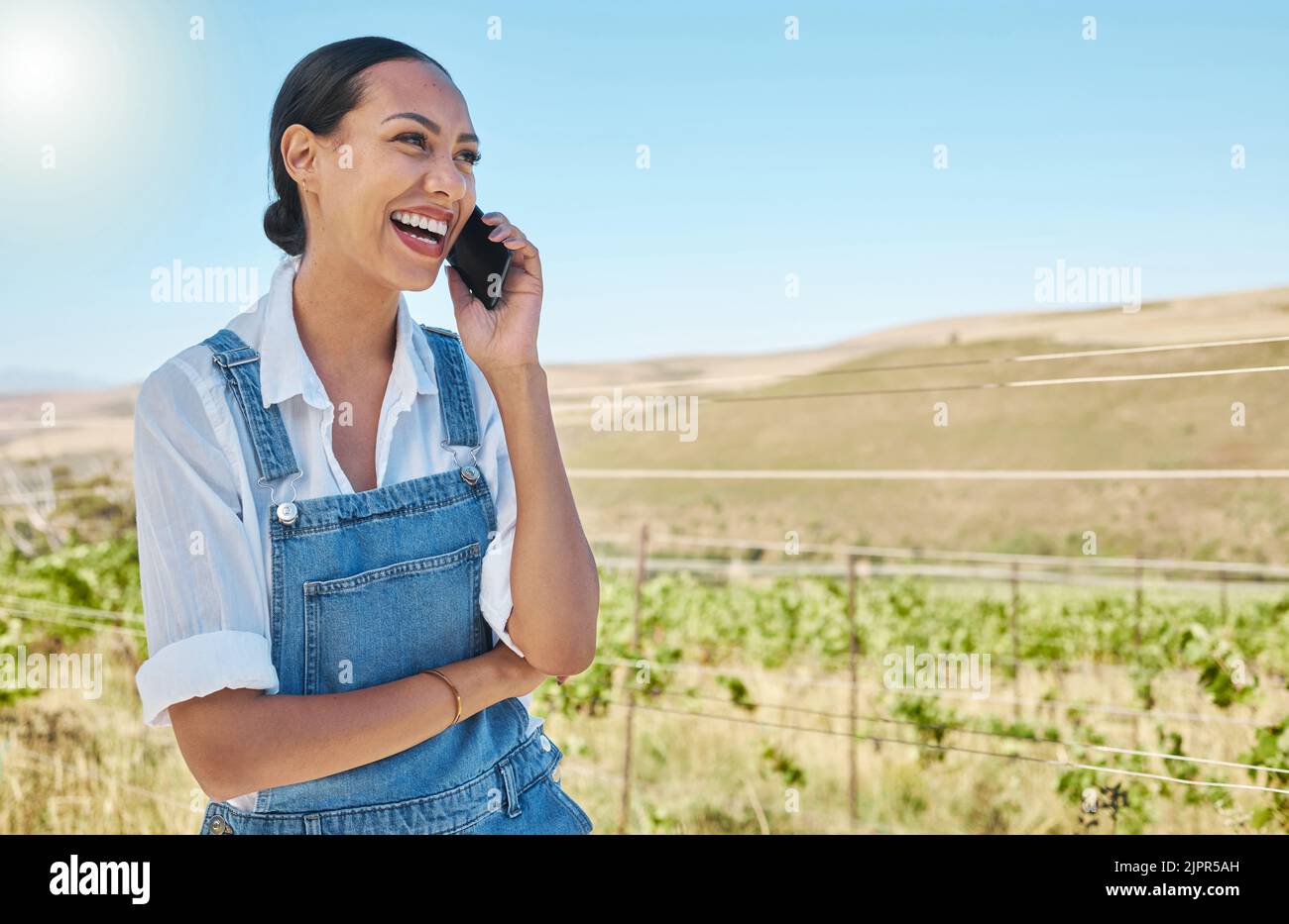 Grape farm, vineyard and farmer on phone call with happy smile for good ...